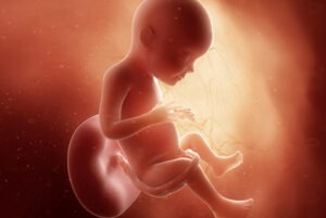 28 weken zwanger » Kraamzorg So Cute